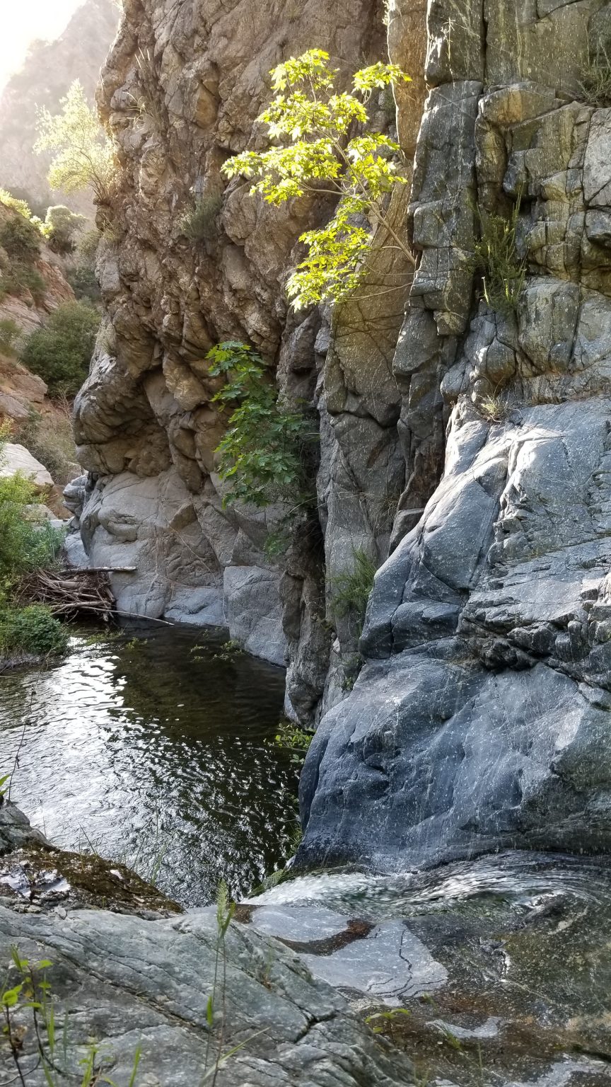 Canyon Cartography – Hand drawn hiking maps of Chantry Flats and Wrightwood